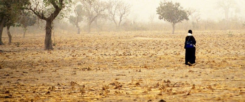 FICHE D’INFORMATION22 JUIN 2023 Le Groupe de la Banque mondiale annonce une panoplie complète ...